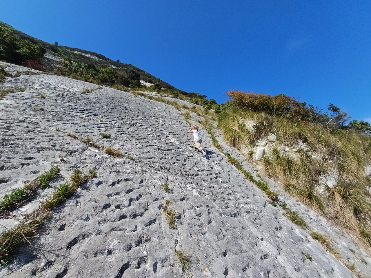Tracce di fuga sul Conero: impronte fossili di tartarughe marine ...