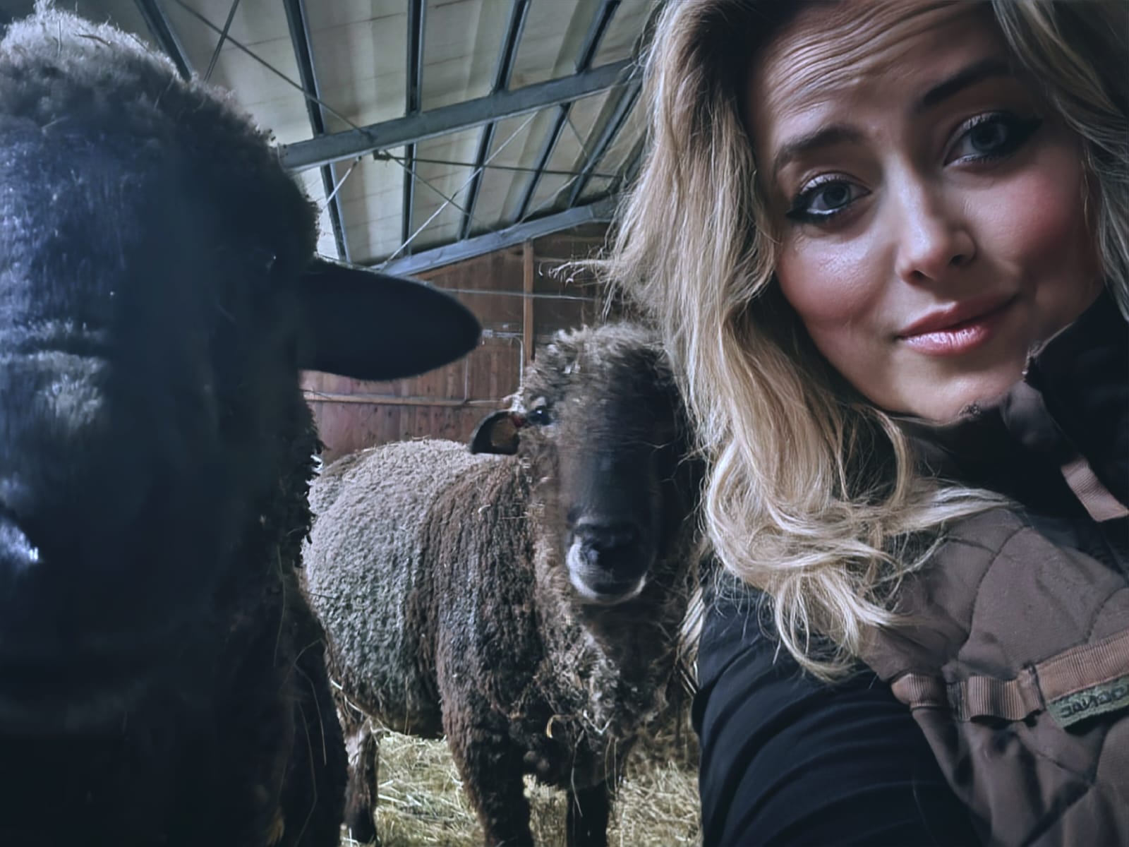 Tra paglia e fiere internazionali, Silvia Bonomi è la nuova pastora ...