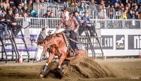 Campionati europei di reining: c’è anche la treiese Francesca Fino ...